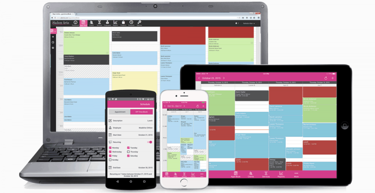 What Do You Need To Know About IRIS Software - Techicy