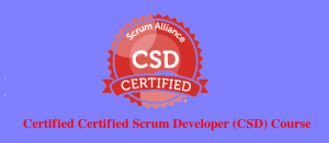 Everything You Need to Know About CSD Training - Techicy