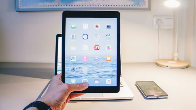 Everything You Should Know About XLN - Techicy