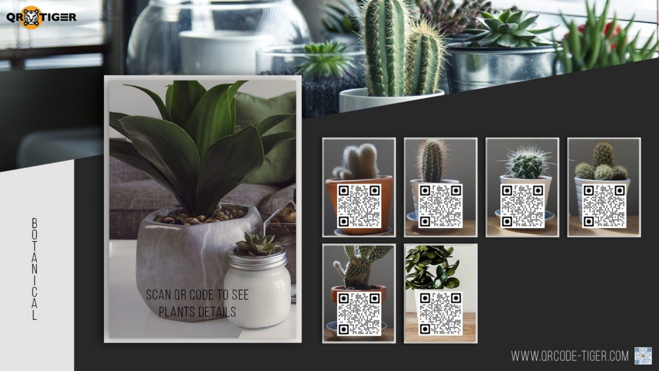 How to use QR Codes for Innovative Classroom Learning? - Techicy