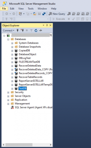 How to Convert Microsoft SQL Database to MySQL Database - Techicy