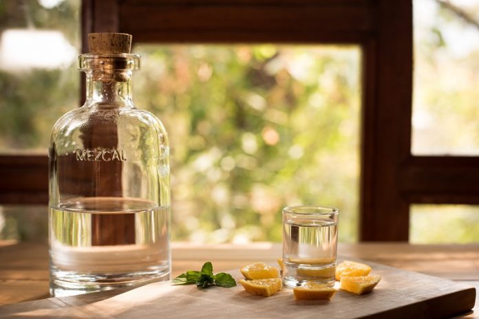 How to do a Proper Mezcal Tasting - Techicy