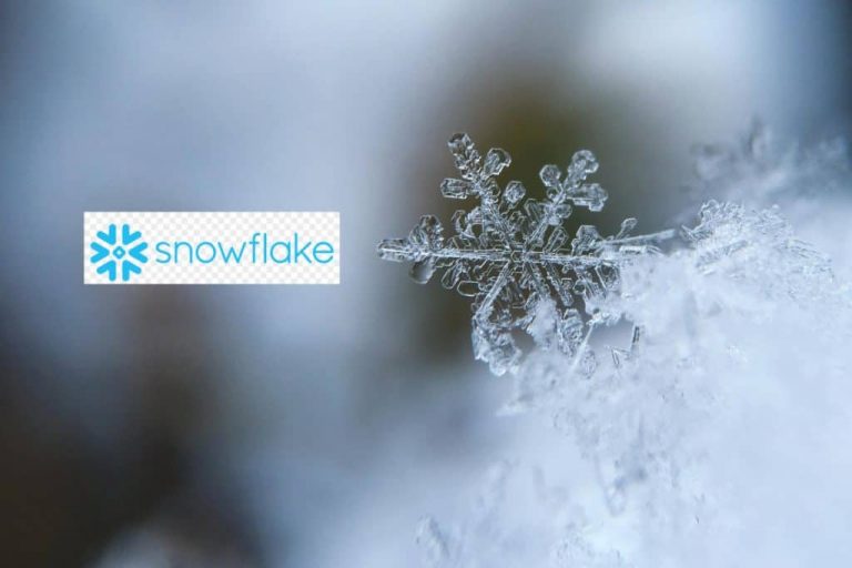 How To Handle Every SNOWFLAKE Challenge With Ease Using These Tips ...