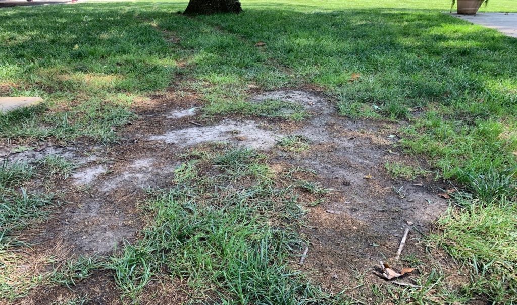 Ways To Get Your Lawn Ready For Cooler Weather - Techicy