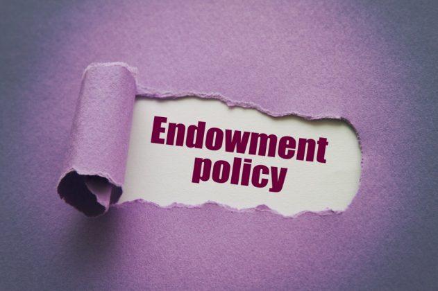 Everything You Need To Know About Endowment Plans In India - Techicy