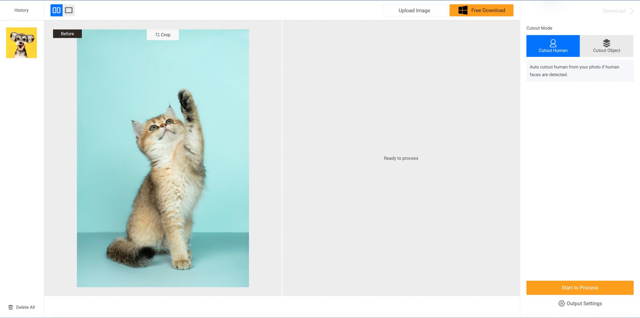 Mastering Image Editing with BGremover: Effortlessly Remove Background ...