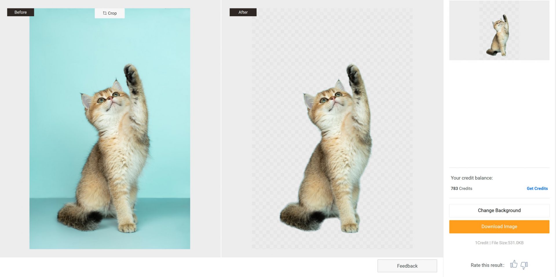 Mastering Image Editing with BGremover: Effortlessly Remove Background ...