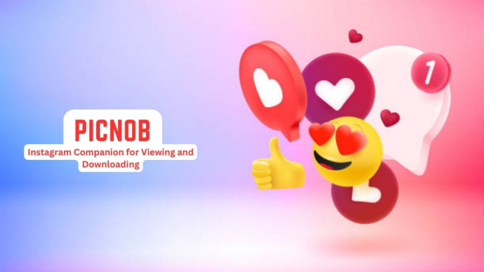 Get Picnob – A Free IG Viewer & Downloader Tool - Techicy