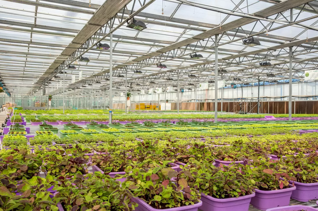 Factors Influencing LED Light Efficiency: How to Improve? - Techicy